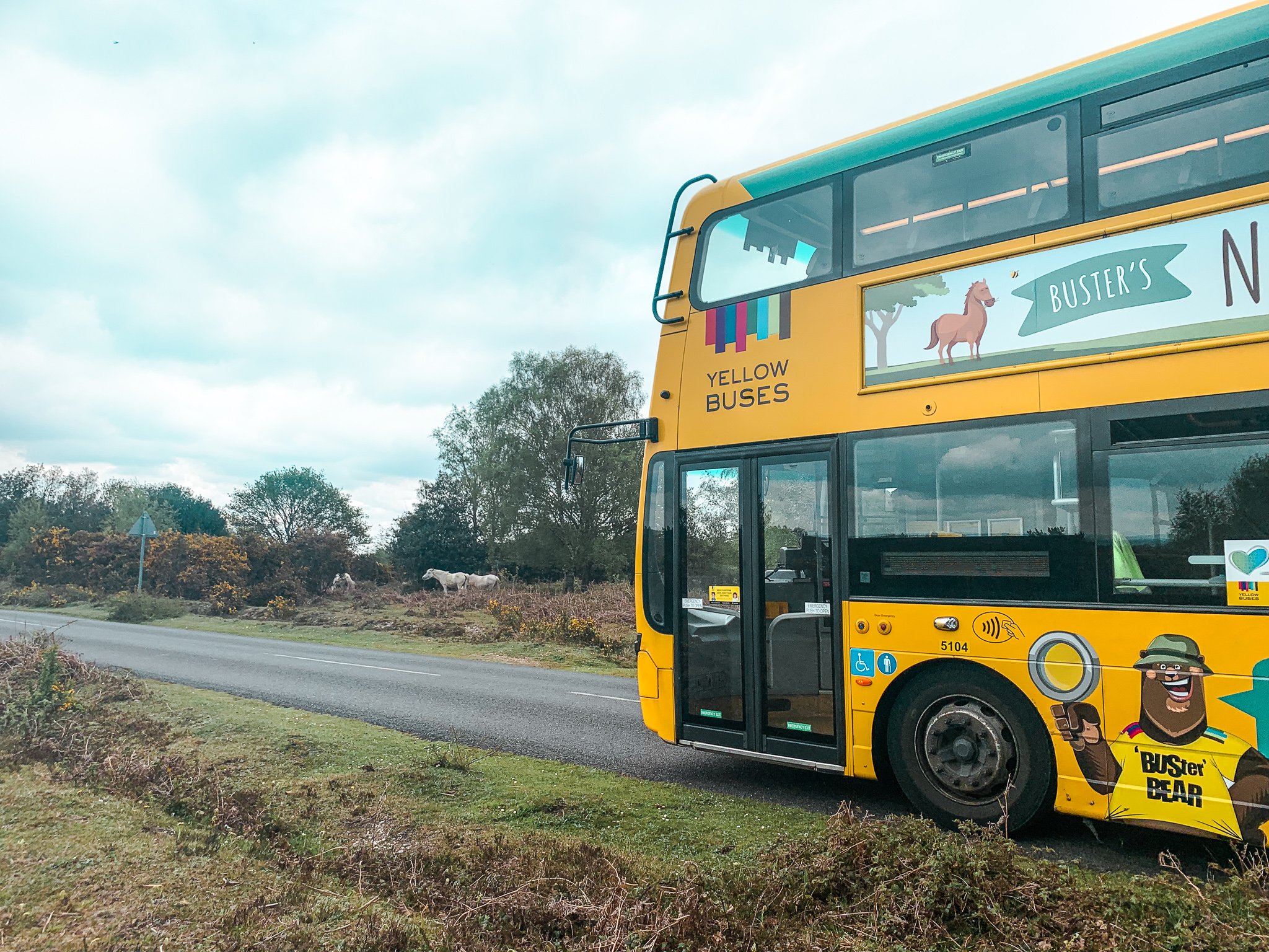 Yellow Buses introduces Busters New Forest Explorer - ALBUM