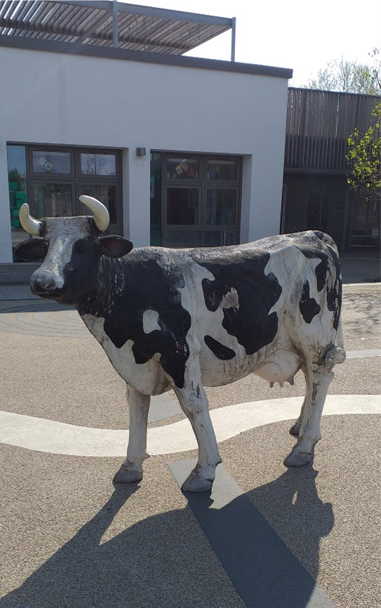 READING BUSES’ DEPOT COW DAISY MOOS TO THE CHILDREN - ALBUM